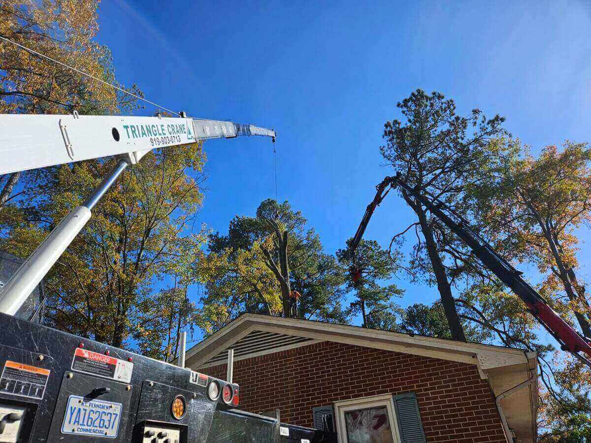 Crane-Assisted Landscaping in Raleigh | Safe & Efficient